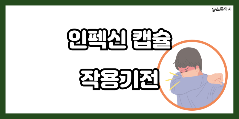 인펙신 캡슐 은교산 효과 복용법 부작용 성분 편도염 인후통 어린이 임산부 네이버 블로그