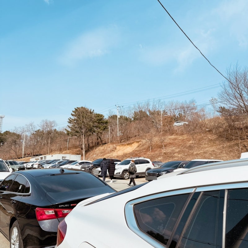 양양 가볼만한곳 휴휴암 주차 시간 애견동반 물고기 방생 네이버 블로그