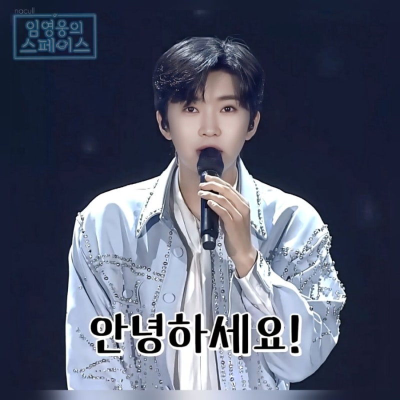 임영웅 마지막 스페이스💌 Im Hero Tour In 고양 소중한 추억의 인사 안녕🙋♂️ 네이버 블로그