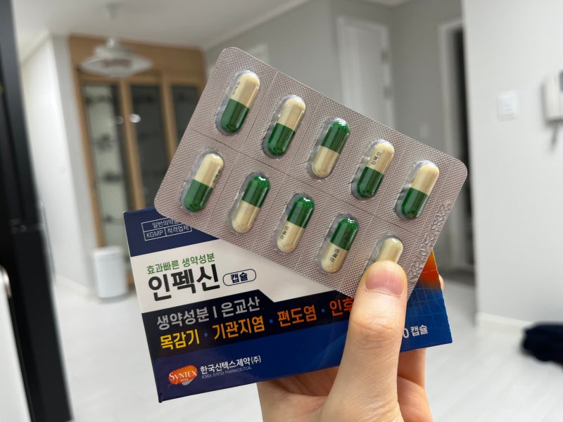 인펙신 캡슐 (은교산) 효과 복용법 부작용 성분 편도염 인후통 어린이 임산부 : 네이버 블로그