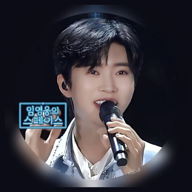 임영웅 마지막 스페이스💌 Im Hero Tour In 고양 소중한 추억의 인사 안녕🙋♂️ 네이버 블로그