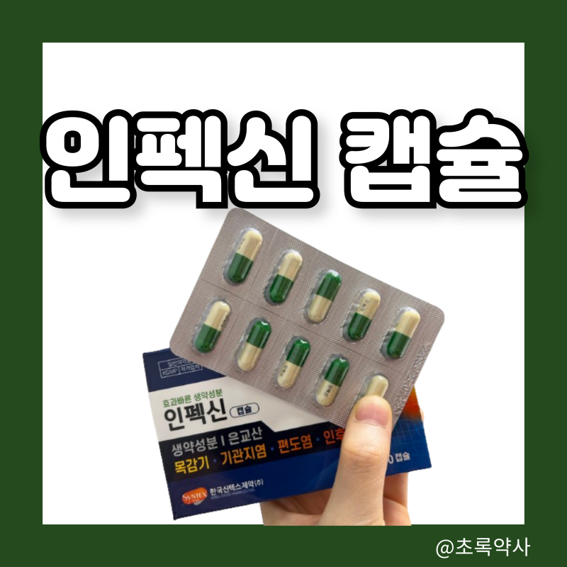 인펙신 캡슐 (은교산) 효과 복용법 부작용 성분 편도염 인후통 어린이 임산부 : 네이버 블로그