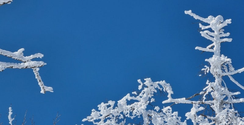 커피머신 중고 구입 요령 에소 2구 콘티 제우스 conti xeos : 네이버 블로그