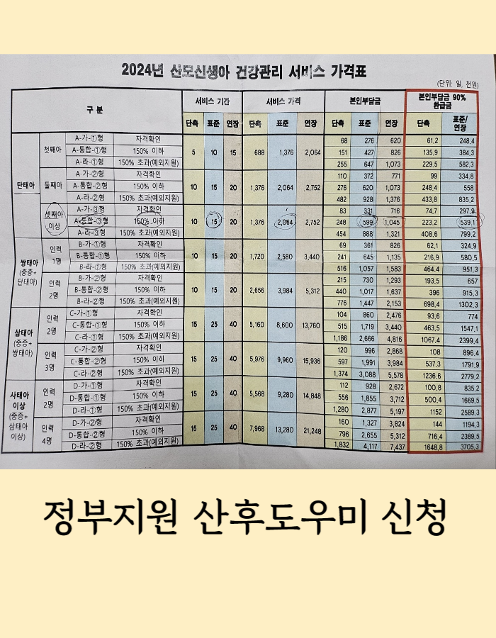 정부지원 산후도우미 신청 파주 운정 보건소 본인부담금 가격표 이용방법 환급금 네이버 블로그