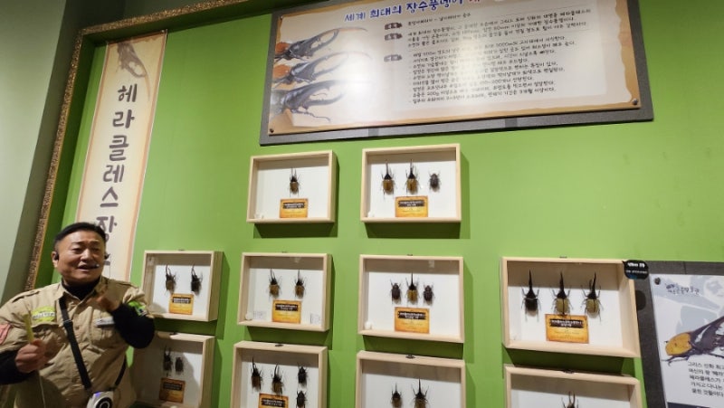여주 곤충박물관 입장료 아이들과 네번째 방문하는 체험후기 네이버 블로그