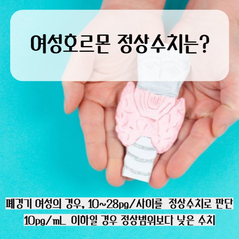여성호르몬 검사 수치 낮다면 정상수치 유지위한 방법 네이버 블로그