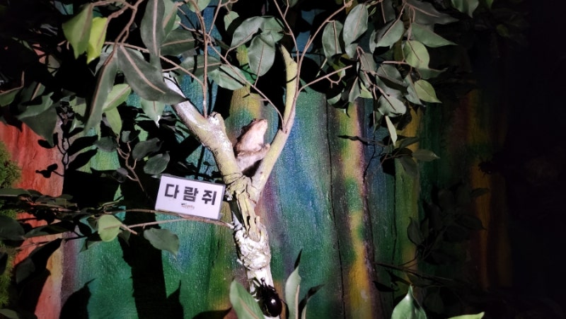여주 곤충박물관 입장료 아이들과 네번째 방문하는 체험후기 네이버 블로그