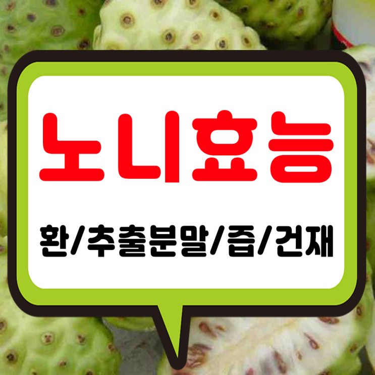 노니 효능과 섭취 시 주의할 점 건 Noni 즙과 환 먹는법 복용법 섭취량