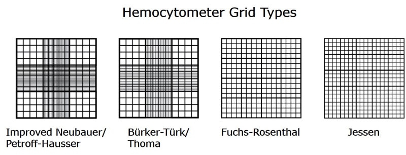 미생물 개체 수 측정 - 2. Hemocytometer : 네이버 블로그