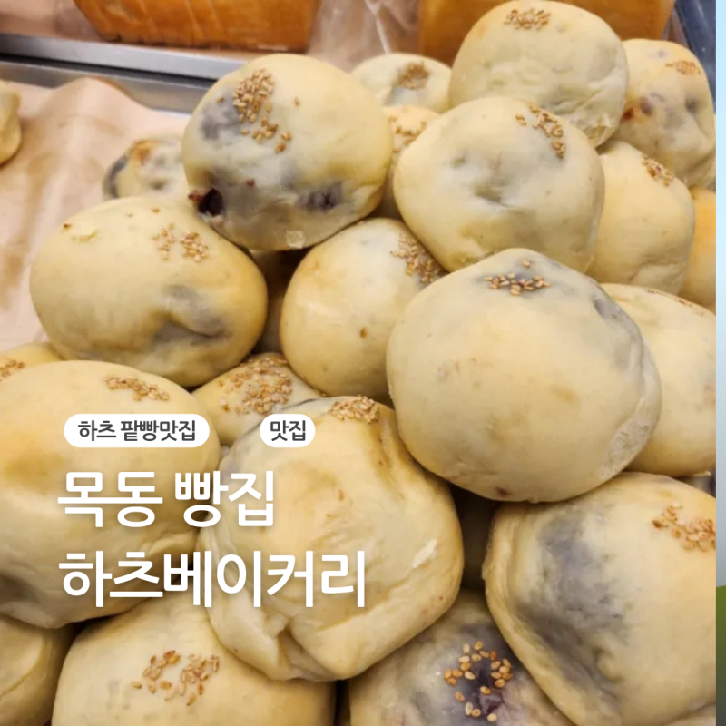 하츠베이커리 공주밤 팥빵 디저트맛집 목동현대백화점 빵집 네이버 블로그