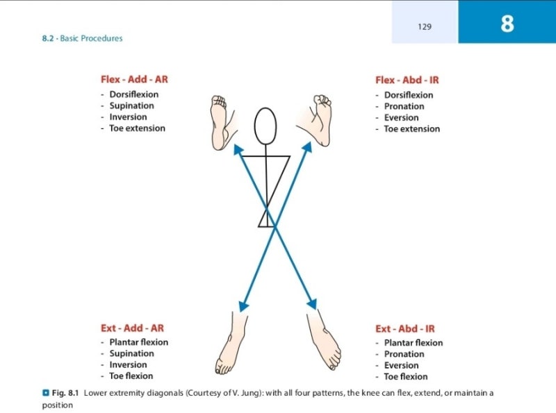 신경계 물리치료 PNF study _ 두번째, 기본원리, 기본절차 : 네이버 블로그