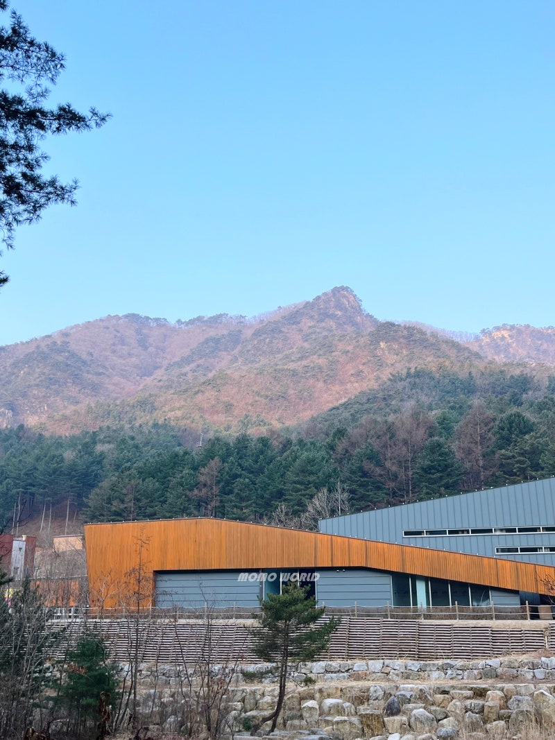 강원도 춘천 숙소 국립춘천숲체원 숙박 후기 네이버 블로그