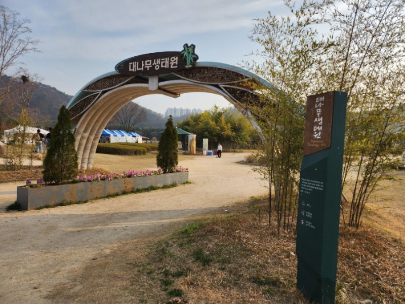 울산 태화강 꼭 가봐야하는 국가정원 십리대숲 은하수길 힐링 네이버 블로그