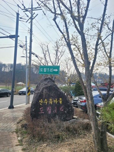 경기도 봄꽃축제 방문기 이천 산수유마을 2024 이천백사산수유꽃축제 240322 24 일주일 전 방문 후기 및 실시간