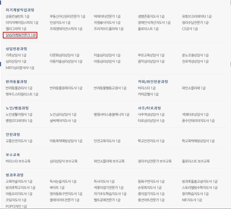 한국직업능력진흥원에서 무료자격증수업듣고 Sns마케팅전문가1급 딴 후기 네이버 블로그