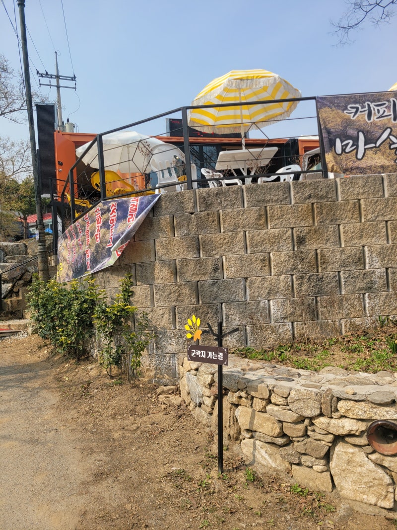 경기도 봄꽃축제 방문기 이천 산수유마을 2024 이천백사산수유꽃축제 240322 24 일주일 전 방문 후기 및 실시간