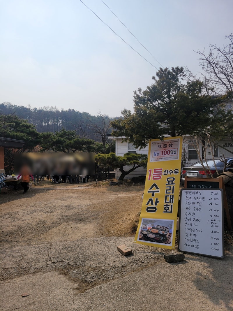 경기도 봄꽃축제 방문기 이천 산수유마을 2024 이천백사산수유꽃축제 240322 24 일주일 전 방문 후기 및 실시간