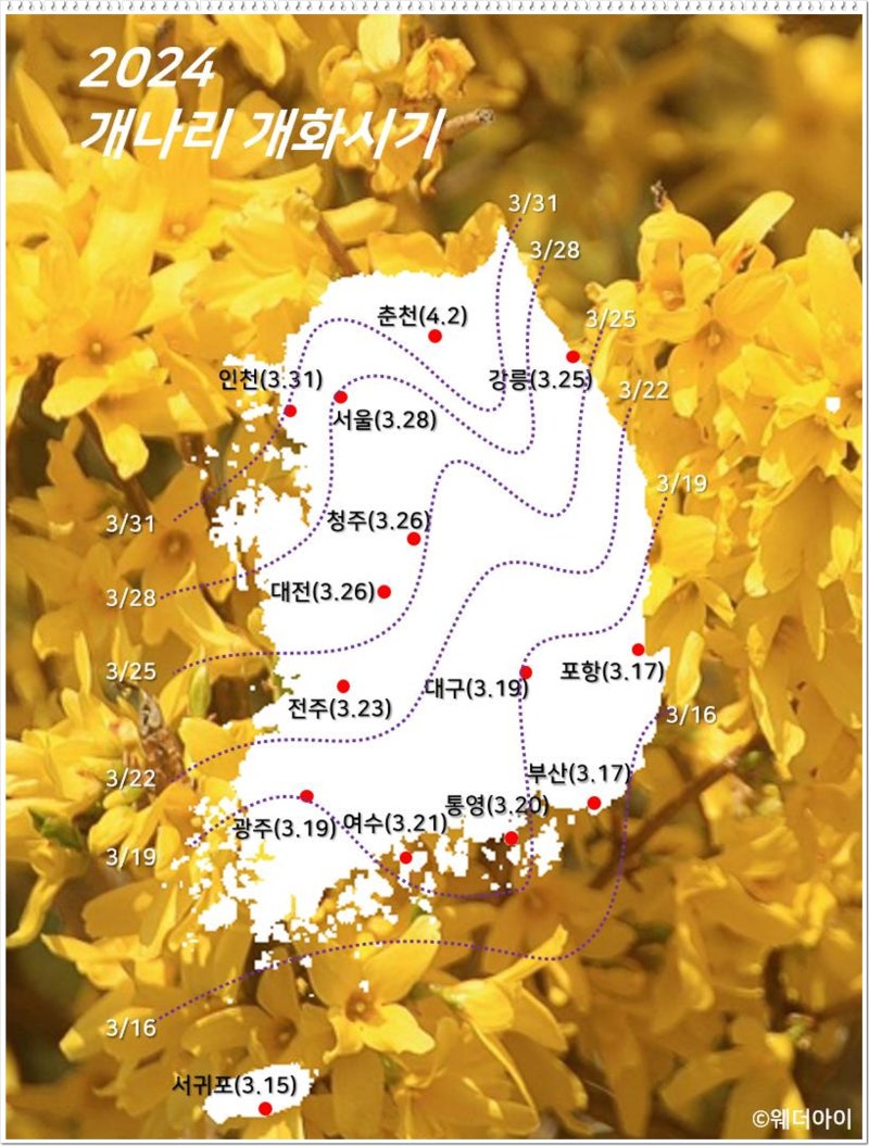 대전 3월축제 대청호 드라이브코스 2024 대청호 벚꽃축제 기본정보 주차장 벚꽃 개화시기 네이버 블로그