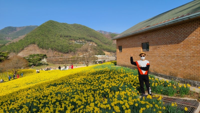 전라남도 구례 가볼만한곳 지리산치즈랜드 수선화 주차입장료 네이버 블로그