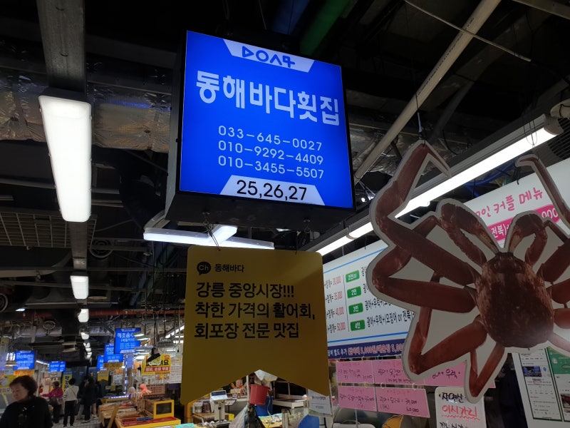 강릉가볼만한곳 동해바다횟집 강릉중앙시장맛집 싱싱한 광어와 우럭 모듬회 네이버 블로그