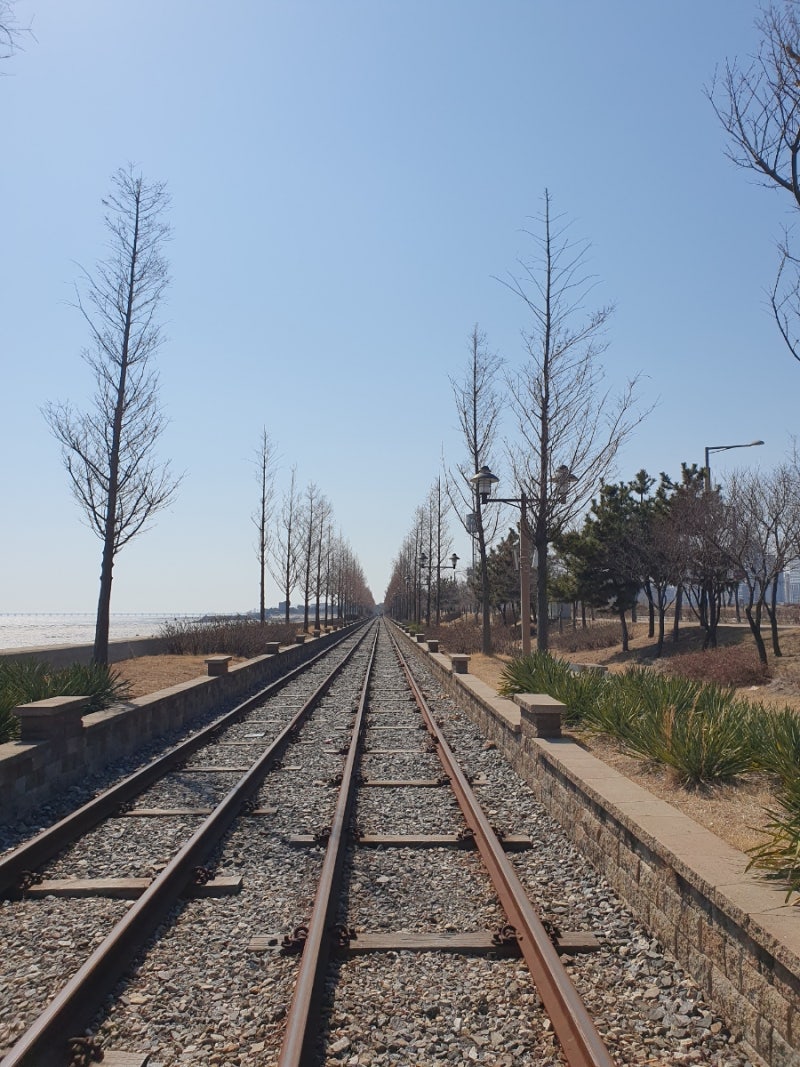 영종도 인천 영종도 씨사이드파크 레일바이크 솔직후기난이도 상 네이버 블로그