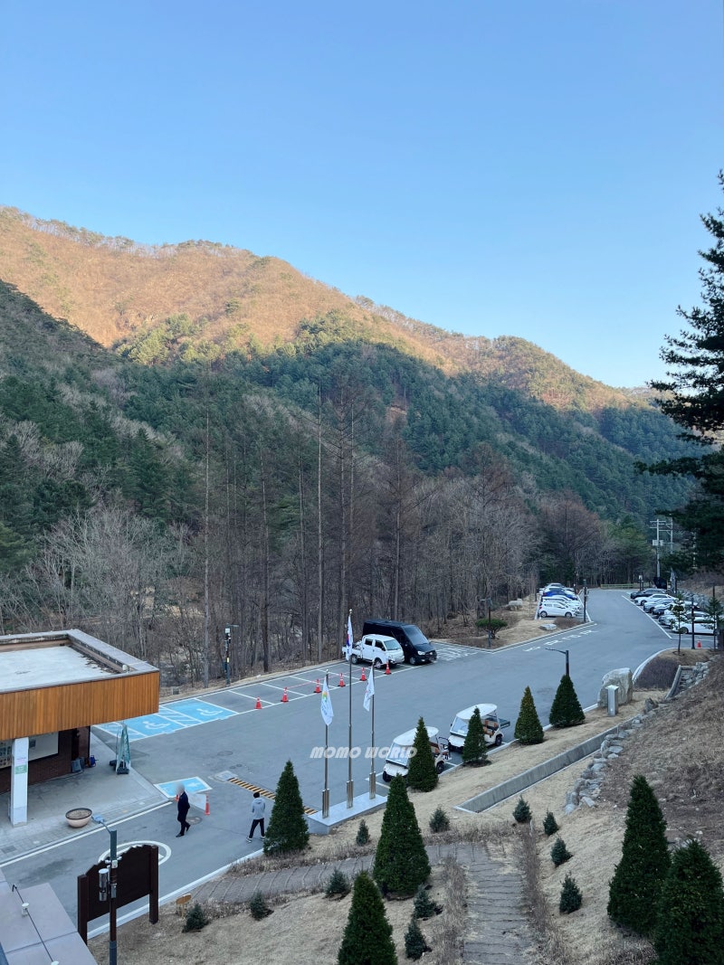 강원도 춘천 숙소 국립춘천숲체원 숙박 후기 네이버 블로그