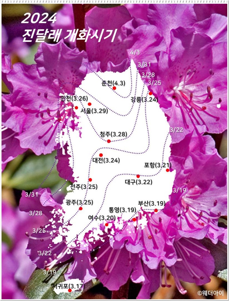 대전 3월축제 대청호 드라이브코스 2024 대청호 벚꽃축제 기본정보 주차장 벚꽃 개화시기 네이버 블로그