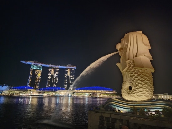 🇸🇬 싱가포르여행필수정보 입국준비물 추천장소필수쇼핑목록 쇼타임맛집추천카페추천호텔필수관광지 네이버 블로그