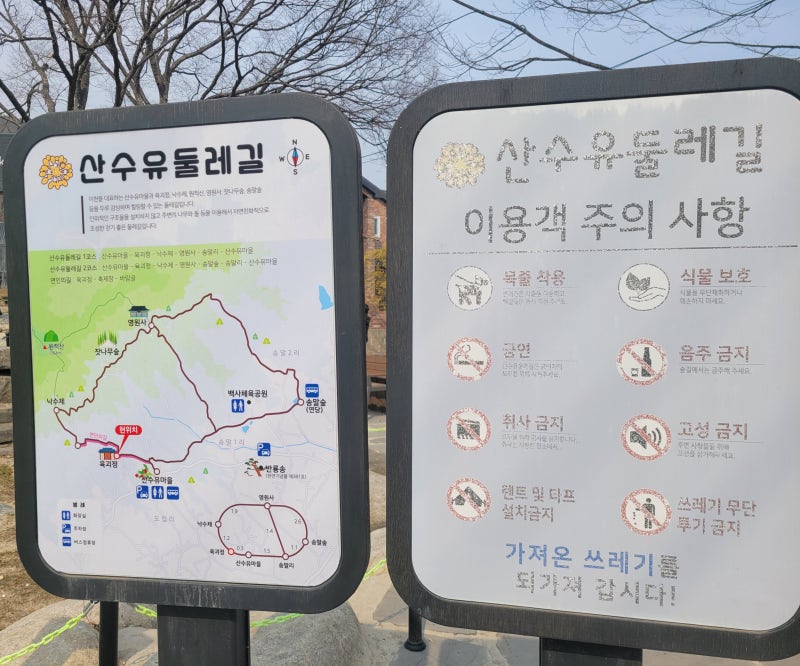 경기도 봄꽃축제 방문기 이천 산수유마을 2024 이천백사산수유꽃축제 240322 24 일주일 전 방문 후기 및 실시간