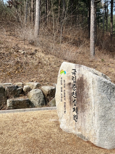 강원도 춘천 숙소 국립춘천숲체원 숙박 후기 네이버 블로그