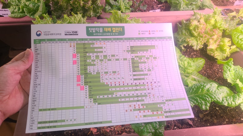 텃밭 작물 재배 캘린더 파종 아주심기 재배기간 수확기 네이버 블로그