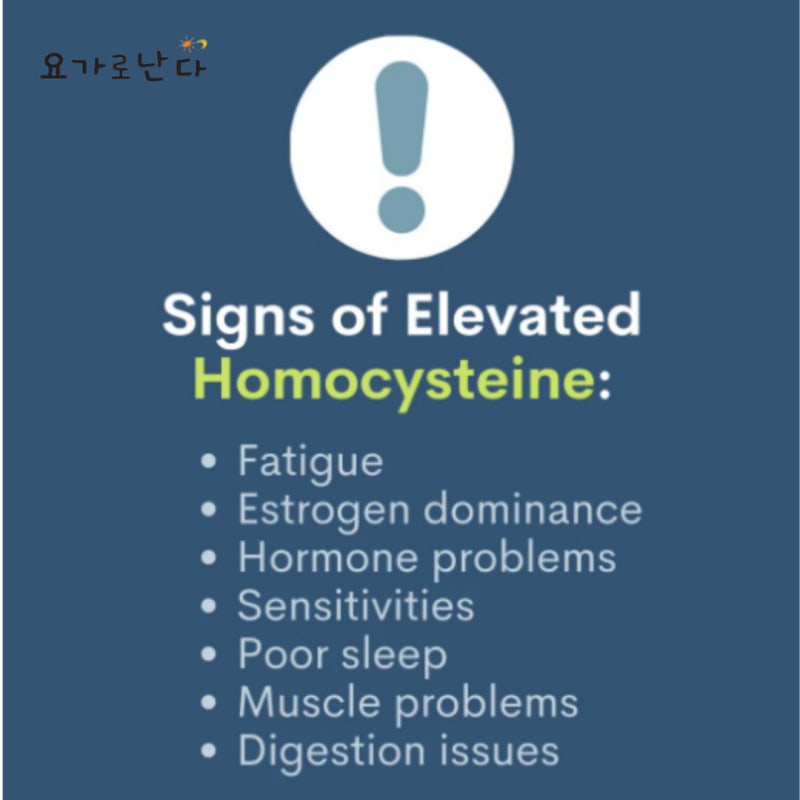 호모시스테인homocysteine이란 호모시스테인 역할 고호모시스테인혈증 호모시스테인 수치의 의미 고호모시스테인