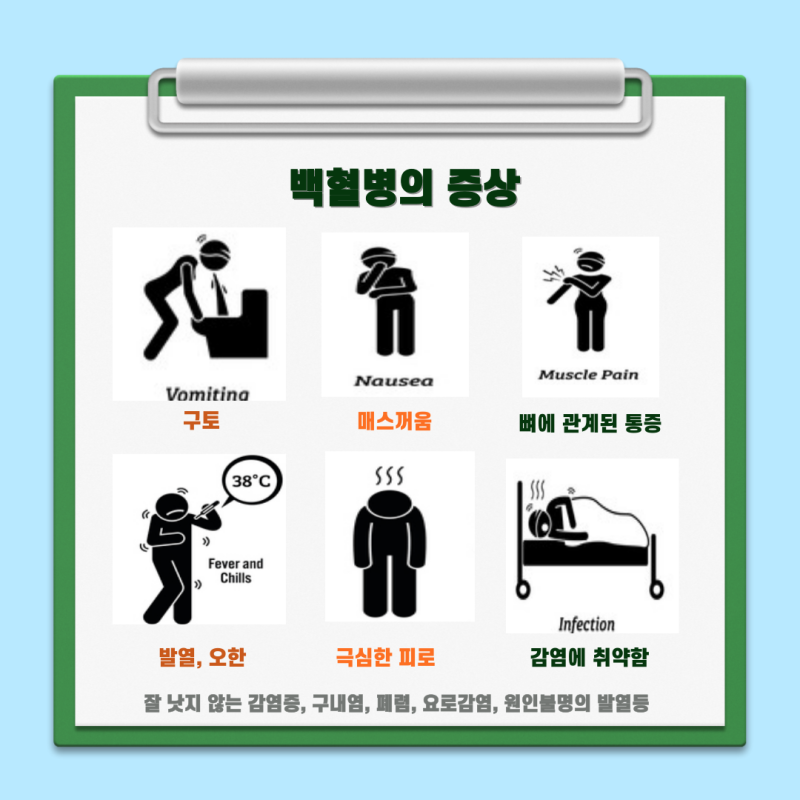 백혈병aml All 증상 발병 원인 1기 2기 3기 4기 병기별 증상 효과적인 치료 방법 전이 재발 예방과