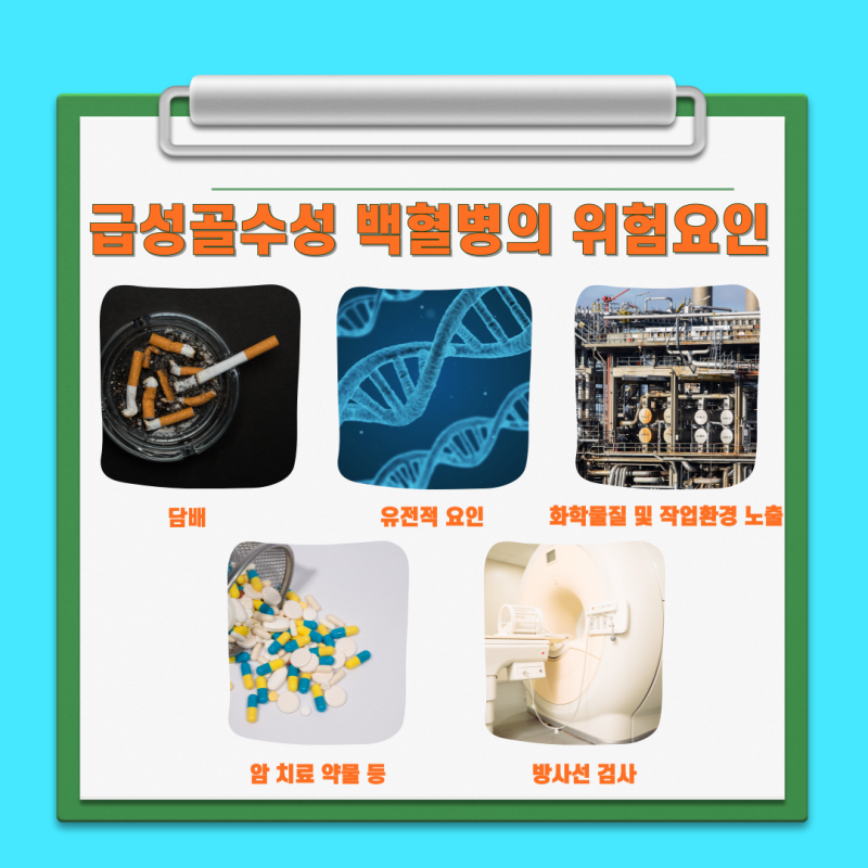 백혈병aml All 증상 발병 원인 1기 2기 3기 4기 병기별 증상 효과적인 치료 방법 전이 재발 예방과