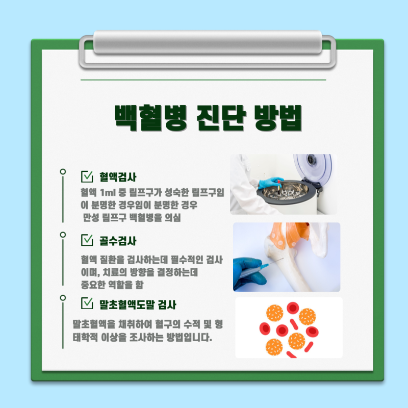 백혈병aml All 증상 발병 원인 1기 2기 3기 4기 병기별 증상 효과적인 치료 방법 전이 재발 예방과