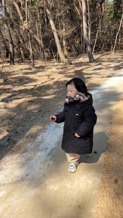 경기도 여주 아이와 가볼만한 곳 세종대왕릉 맛집 주차 입장료 네이버 블로그