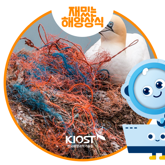 플라스틱 쓰레기로 인한 해양생태계 파괴, KIOST와 분석해보자! : 네이버 블로그