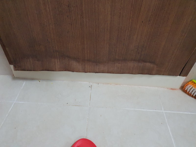 부풀어오른 화장실문짝과 세탁실문짝을 Abs도어로 교체했어요feat노량진동 아파트 욕실문 베란다문 문짝 3개 교체비용