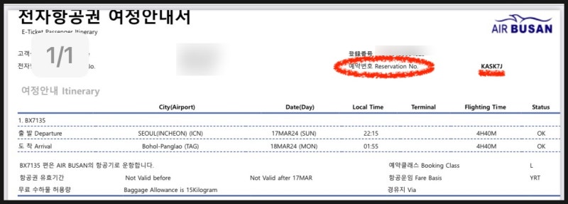 필리핀 입국 이트래블 작성방법 보홀 여행 준비 Qr 입국심사 준비물 세관신고서 네이버 블로그