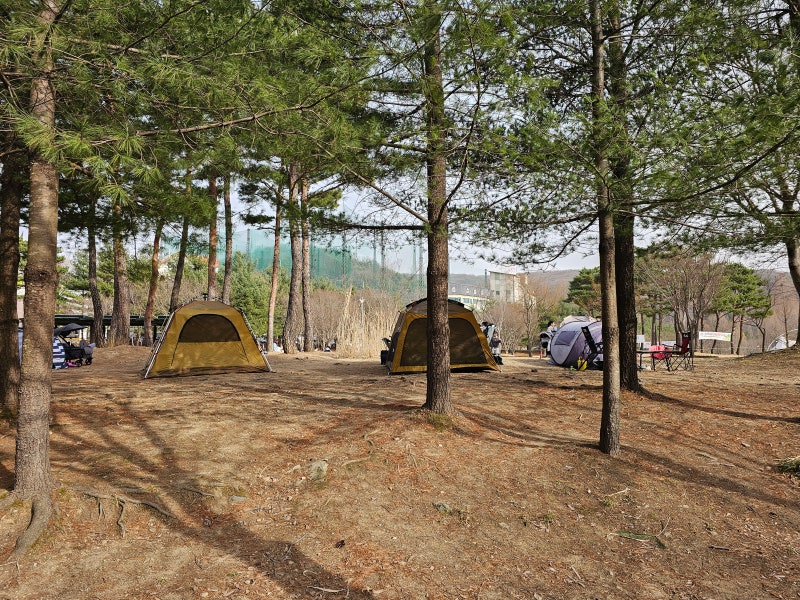 분당 율동공원 가볼만한곳 경기도 산책로 맨발걷기 황톳길 호수공원 네이버 블로그