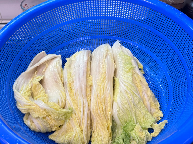 백김치황금레시피 초간단 백김치 담그는 방법 네이버 블로그