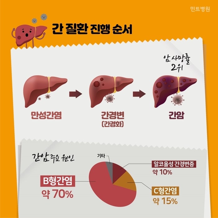 간질환 영상검사 간초음파 Vs 간ct Vs 간mri의 특징과 차이 지방간 간염 간경변 간섬유화 간암 네이버 블로그