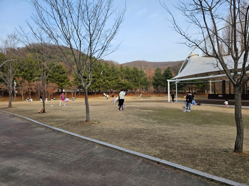 분당 율동공원 가볼만한곳 경기도 산책로 맨발걷기 황톳길 호수공원 네이버 블로그
