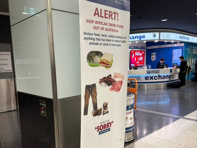 시드니 공항 입국 심사 5분 컷 꿀팁 호주 세관신고서 작성 한글버전 약 라면 고추장 김치 햇반 반입 총정리 네이버 블로그