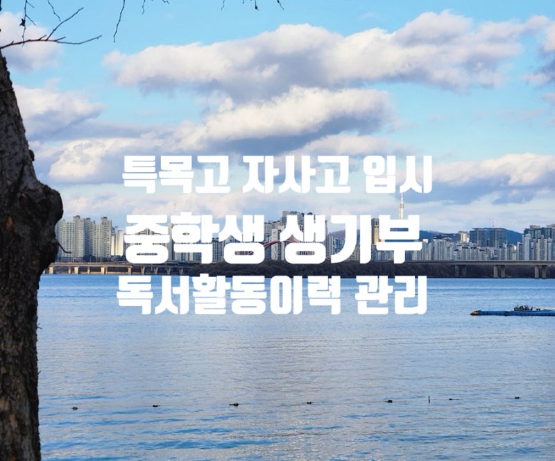 중학생 생활기록부 독서활동 기록 관리하세요 네이버 블로그