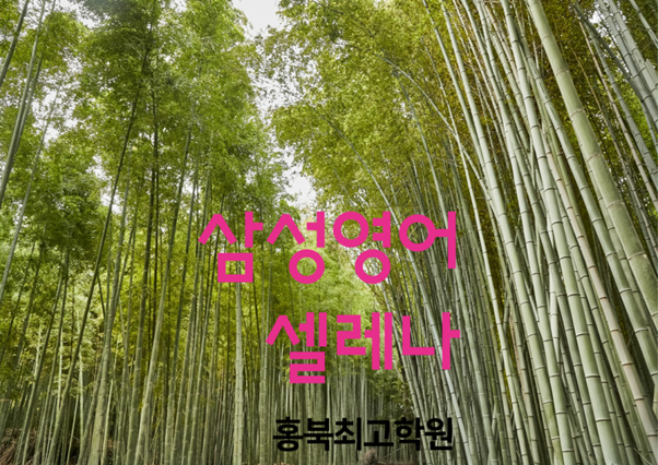 모소대나무 같은 삼성영어셀레나 내포학원