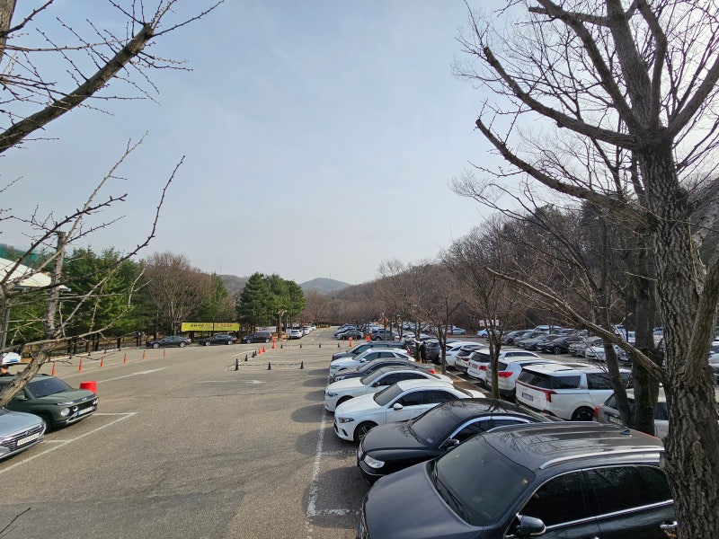 분당 율동공원 가볼만한곳 경기도 산책로 맨발걷기 황톳길 호수공원 네이버 블로그