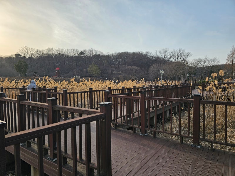 분당 율동공원 가볼만한곳 경기도 산책로 맨발걷기 황톳길 호수공원 네이버 블로그