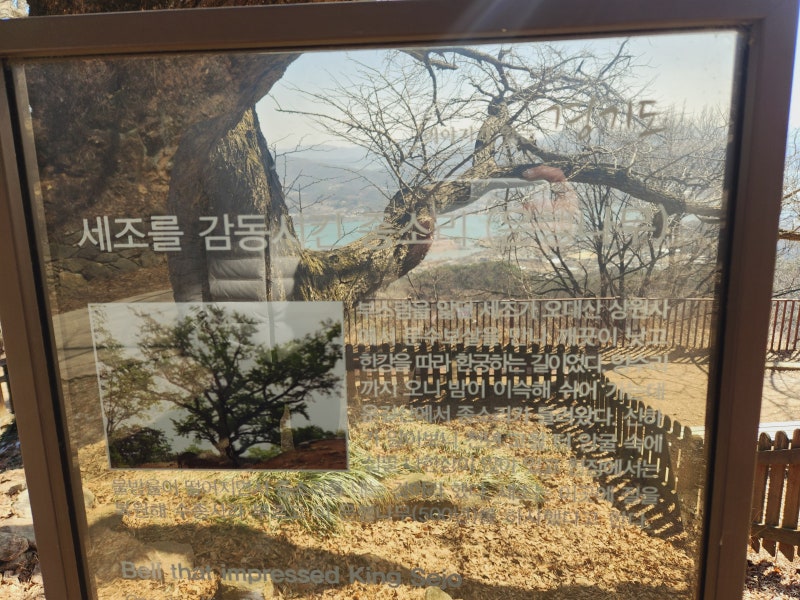 남양주 운길산 수종사 풍경좋은 사찰 명소 Ft 경기도 가볼만한 곳 네이버 블로그