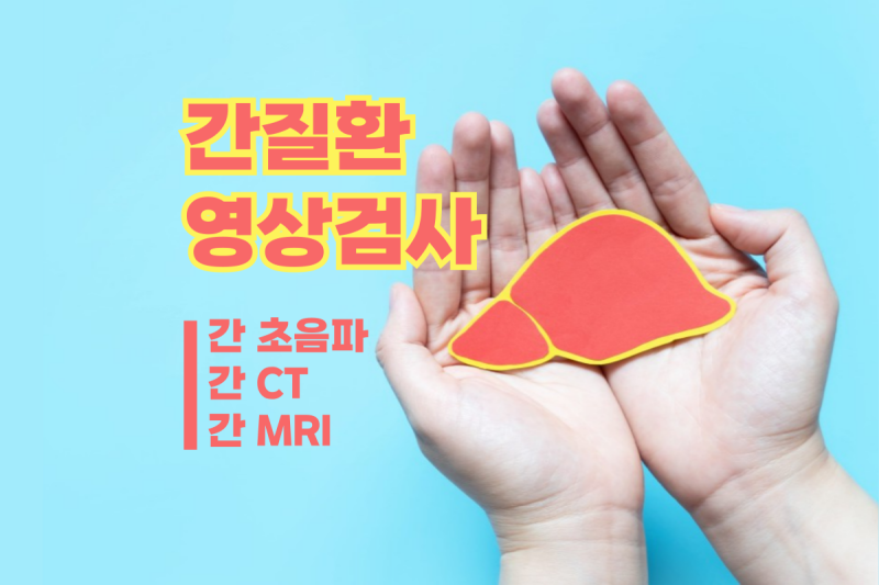 간질환 영상검사 간초음파 Vs 간ct Vs 간mri의 특징과 차이 지방간 간염 간경변 간섬유화 간암 네이버 블로그